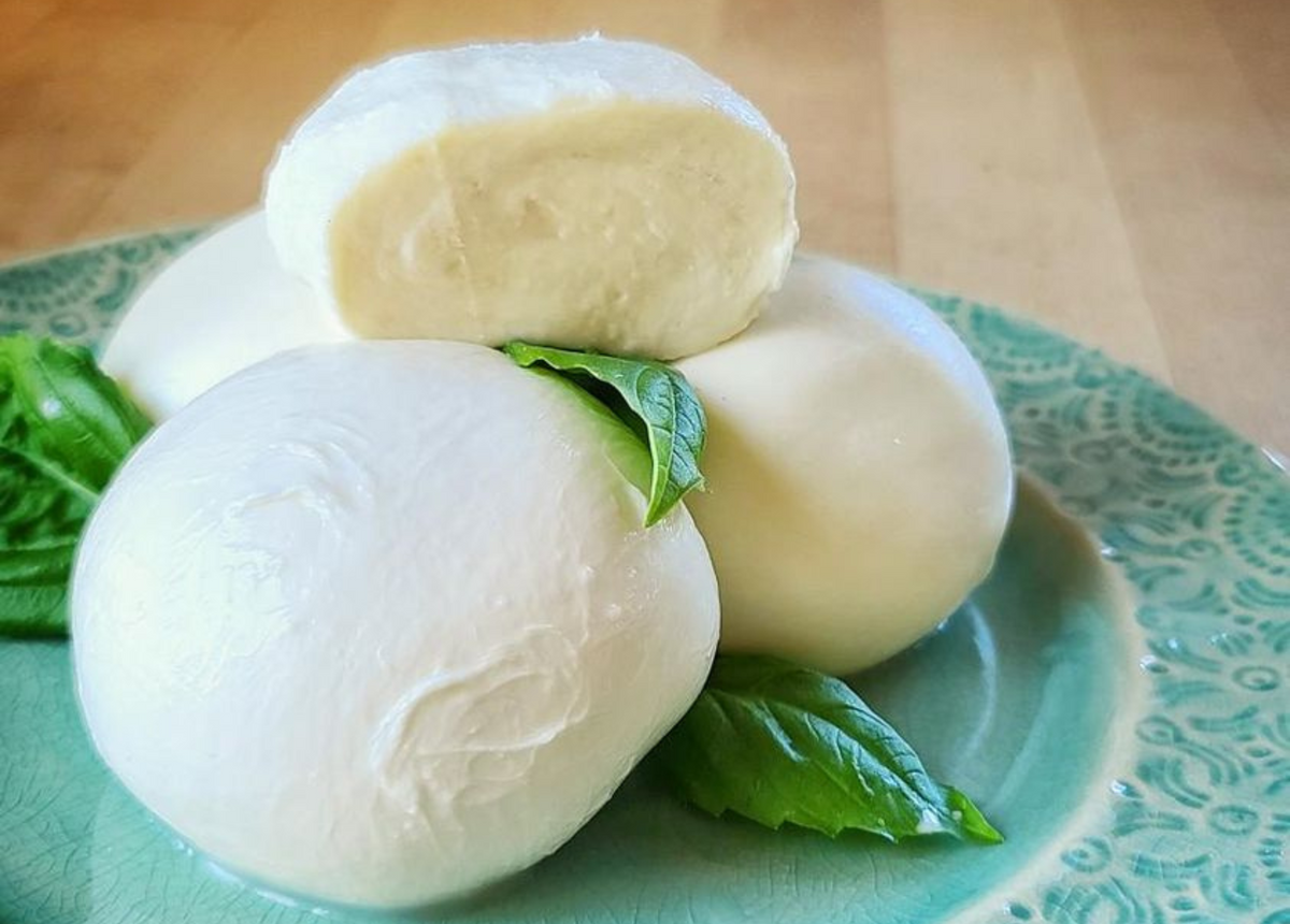 The Best Ways to use Fresh Mozzarella - CheeseMaker.ca