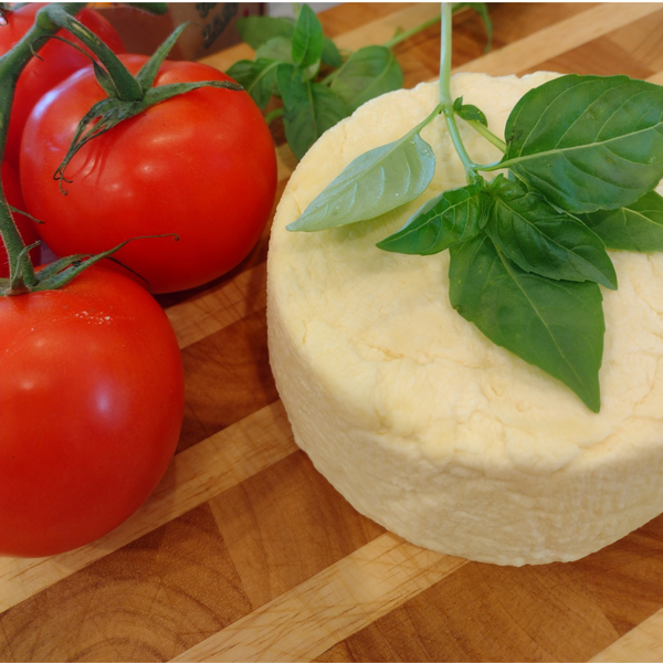 Feta & Goat Cheese Making Kit - CheeseMaker.ca